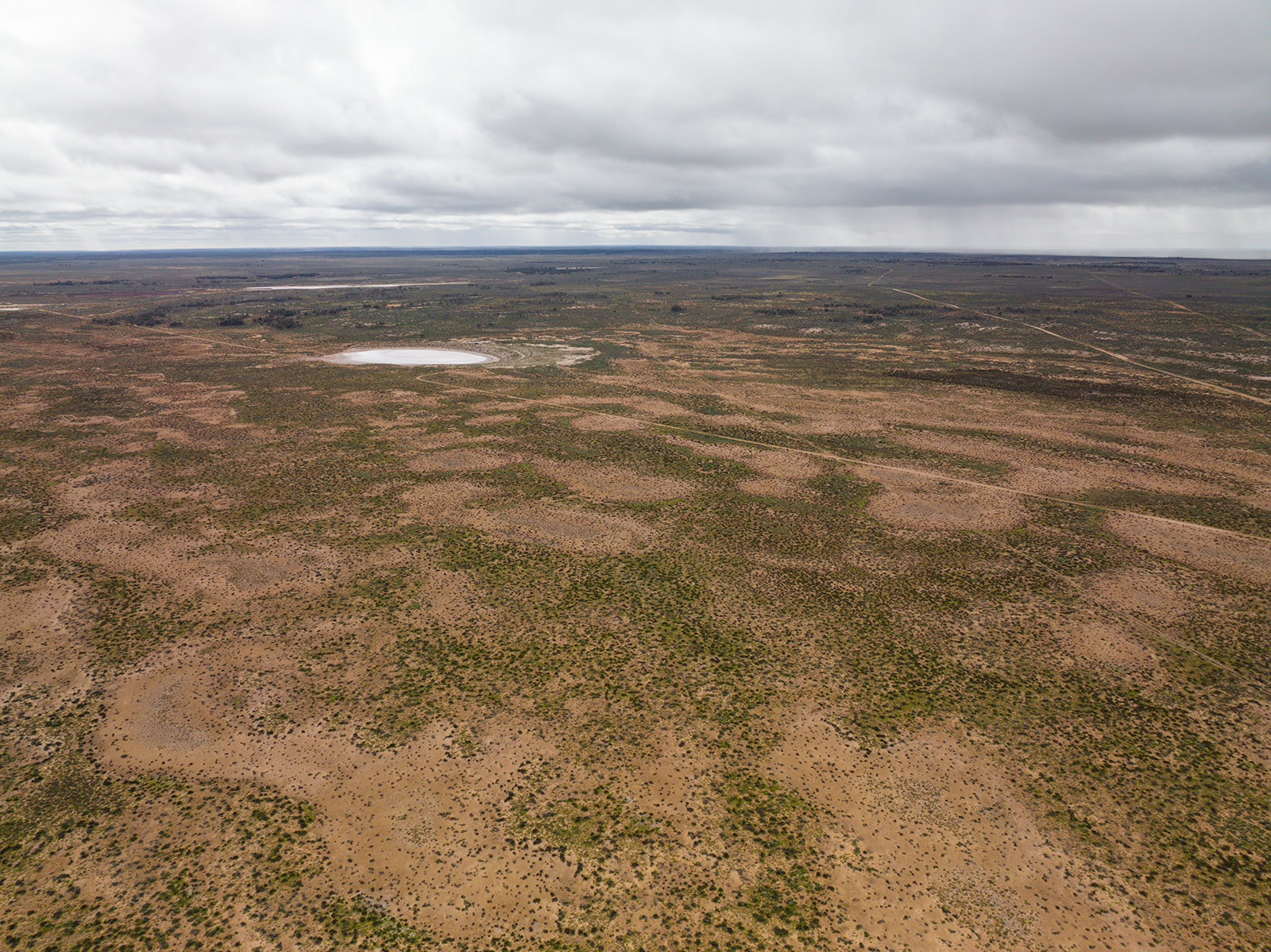 Environmental Reports - RZ Resources