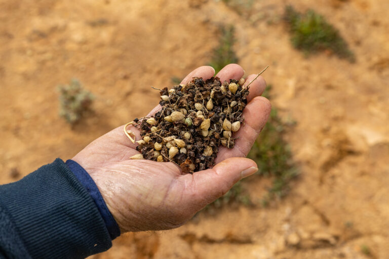 Environmental Reports - RZ Resources